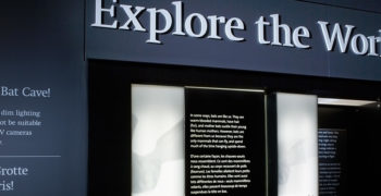 FORREC - We are global entertainment designers.