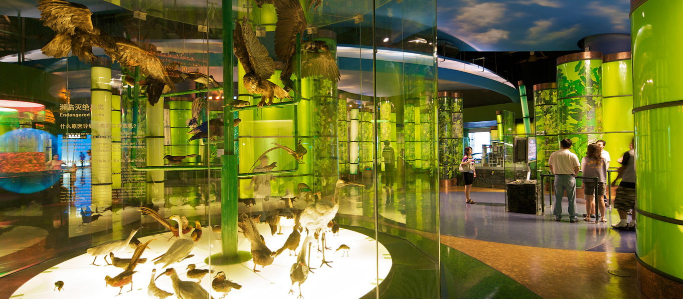 FORREC - We are global entertainment designers.